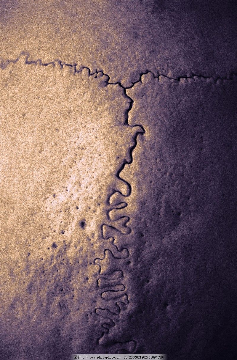 医学解剖0053图片_医疗服务_医疗健康-图行天下素材网