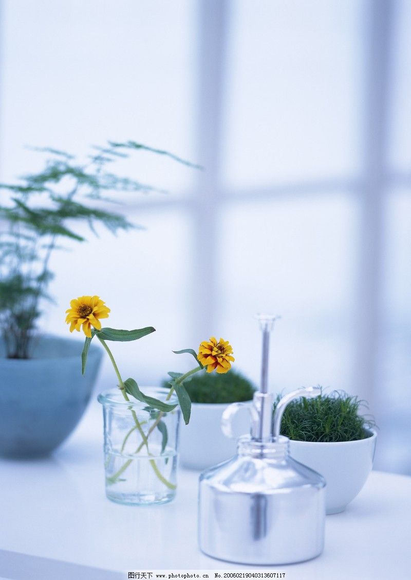 美食世界0087图片_西式佳肴_餐饮美食-图行天下素材网