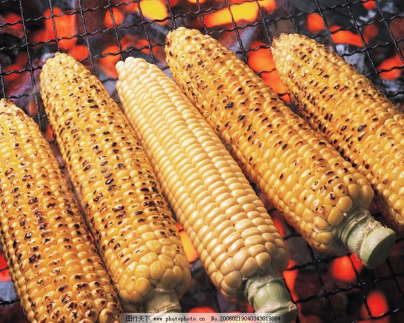 美食世界0227图片_西式佳肴_餐饮美食-图行天下素材网