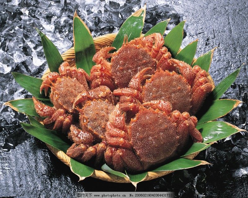 美食世界0201图片_西式佳肴_餐饮美食-图行天下素材网