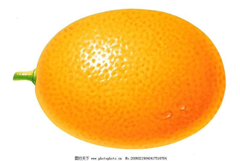 果脯0061图片_食材原料_餐饮美食-图行天下素材网