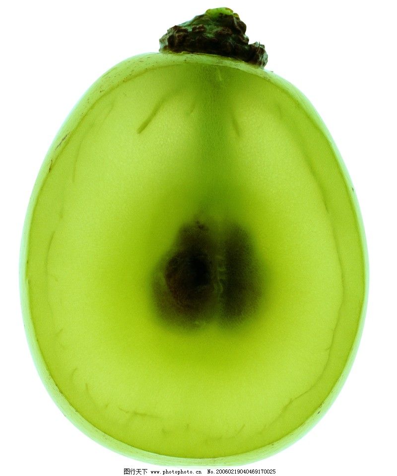 果脯0162图片_食材原料_餐饮美食-图行天下素材网