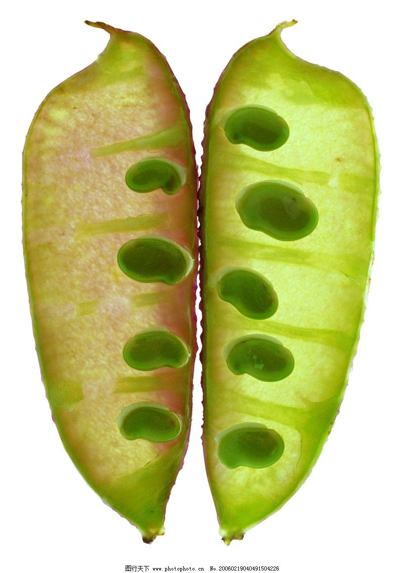 果脯0174图片_食材原料_餐饮美食-图行天下素材网