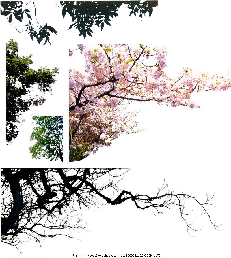 树木0726图片_装饰画_建筑空间-图行天下素材网